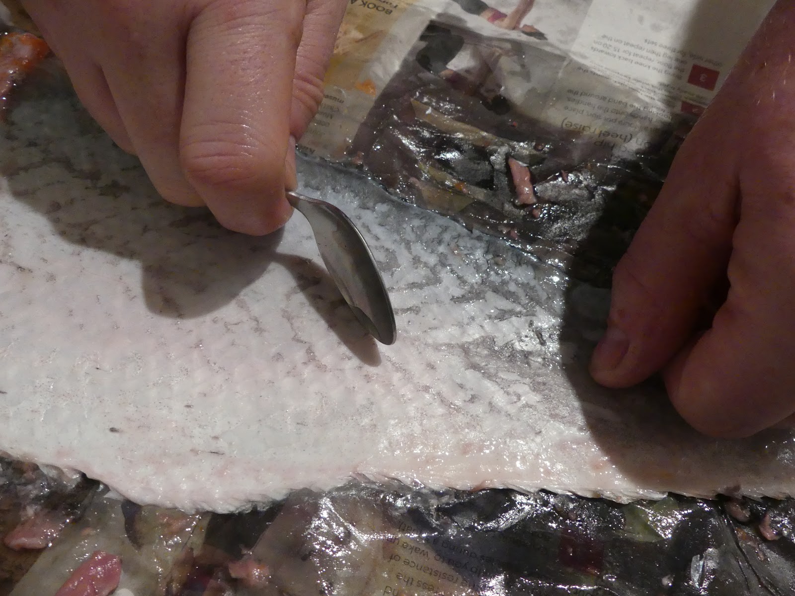 The Outdoor Traditionalist : Fish Skin Leather