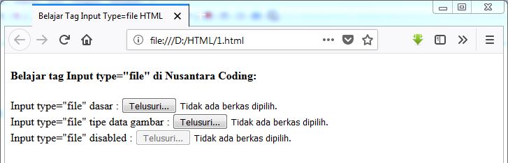Tutorial Form HTML Part 7: Fungsi dan Cara Penggunaan tag input type ...