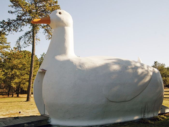 Amazing Animal Shaped Buildings in The World