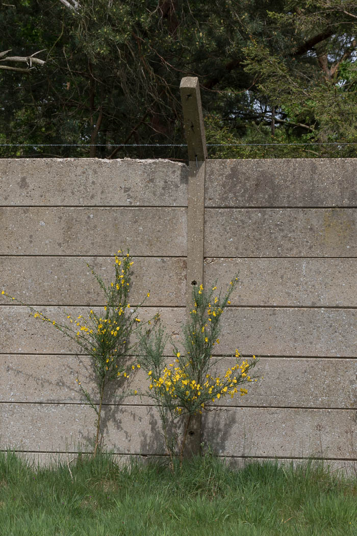 Moore Photography: RAF Barnham Nuclear Bomb Store a historic location ...