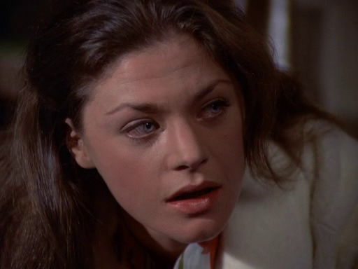Zebradelic: Meg Foster: 1970s detective show glory!