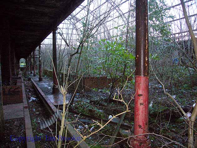 A Glasgow Album: Springburn Burgh Halls and the Winter Gardens