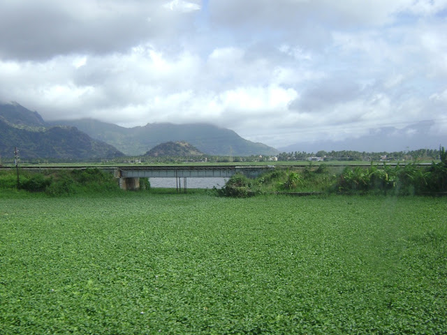 Tamilnadu Tourism: Kalikesam Forest & Waterfalls, Kanyakumari