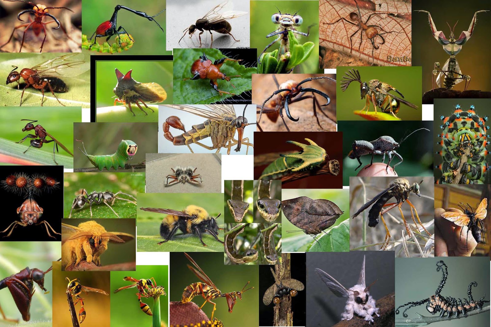 Game Art: Character Dichotomy - Week 1