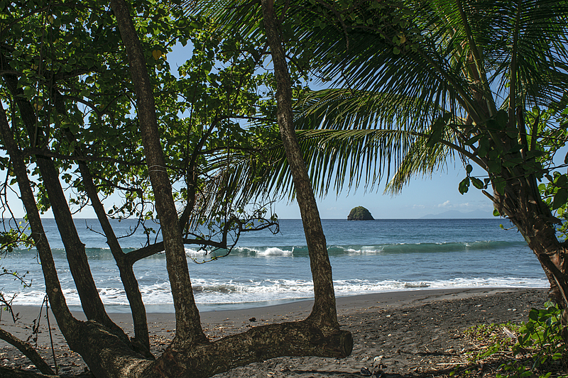10 lieux incontournables à découvrir en Martinique | Bon Voyage