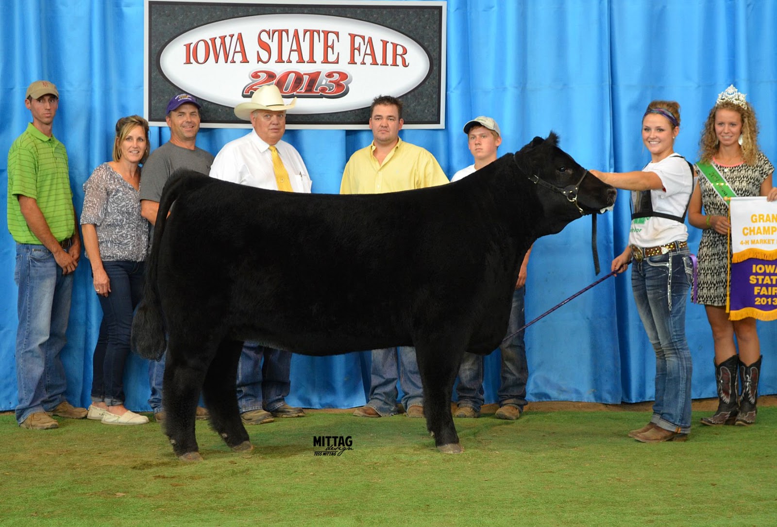 MITTAG Blog: Iowa State Fair 4-H Market Heifers