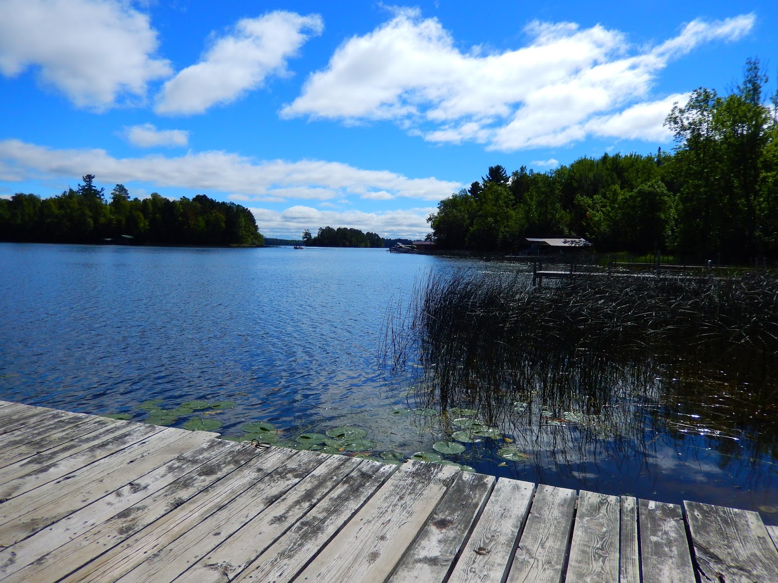 Paper Cut Screams: Lake Vermilion, Minnesota, September 2013
