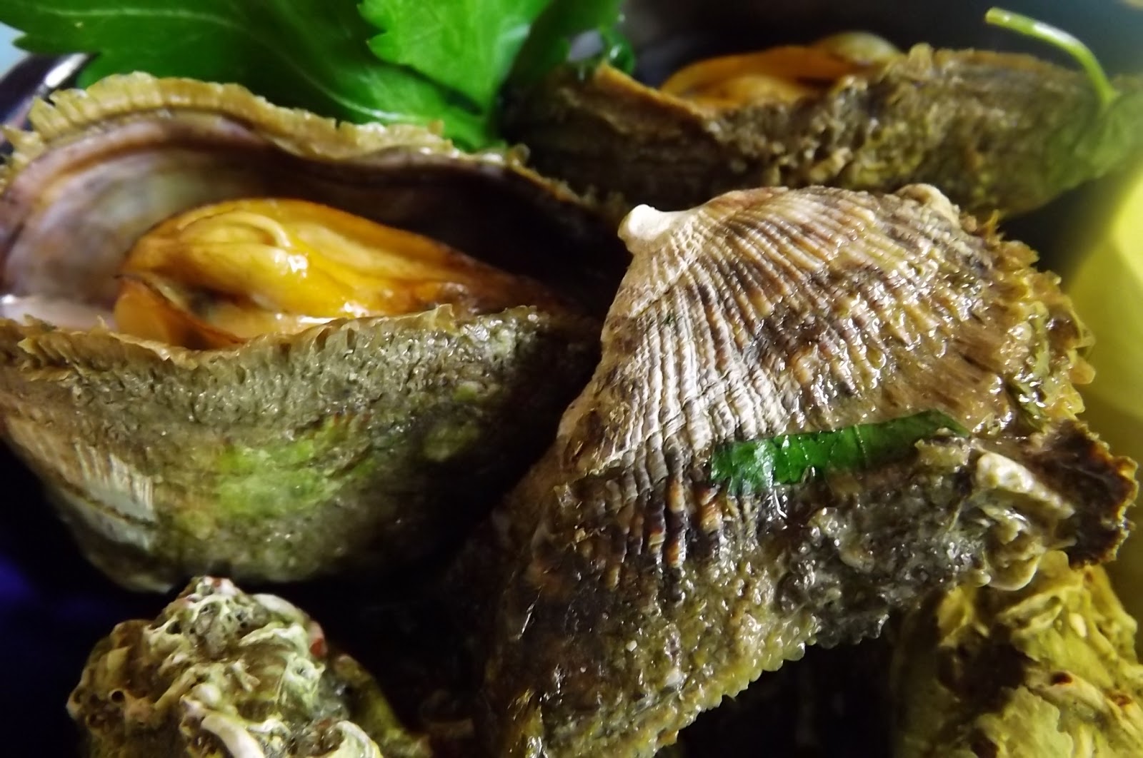 Shamira Gatta : I Mussoli, un frutto (di mare) raro, e voi, li conoscete?