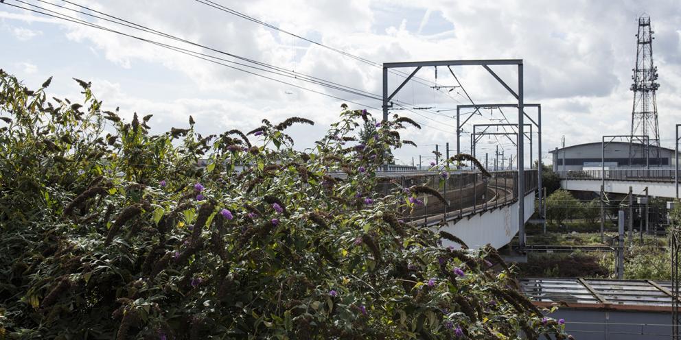 PARK ROYAL - OLD OAK COMMON - KENSAL: Land in the OPDC area (What are ...