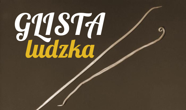 Pasożyty ludzkie | Owsiki | Glista ludzka | Objawy | Leczenie: Glista ...