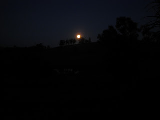 art4moi: Indigo Moon in nature....