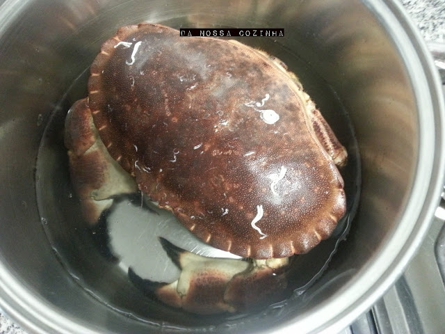 Da Nossa Cozinha : Sapateira recheada para celebrar # 24 Kitchen