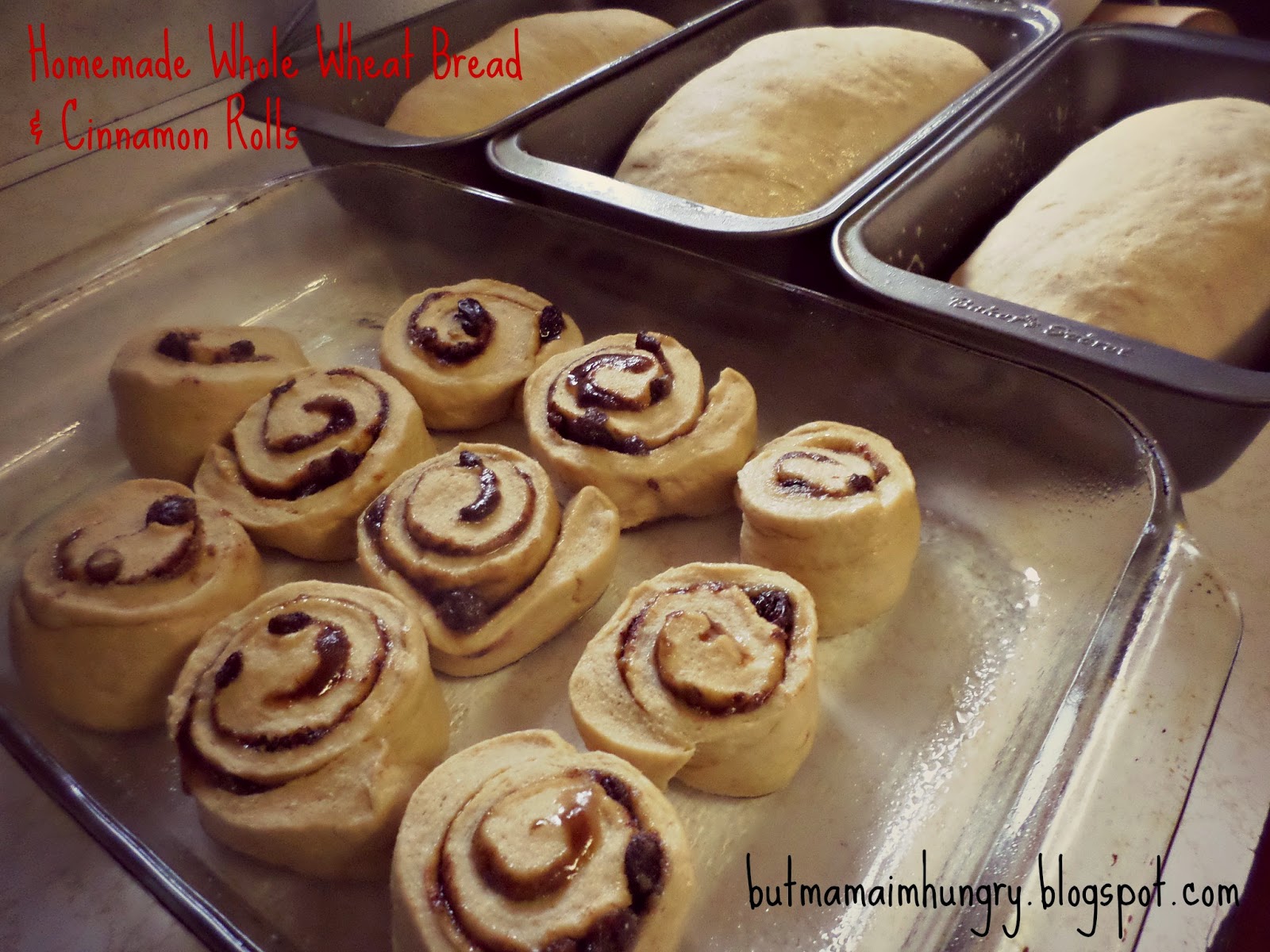 But Mama, I'm Hungry!: Busy Bee in The Kitchen