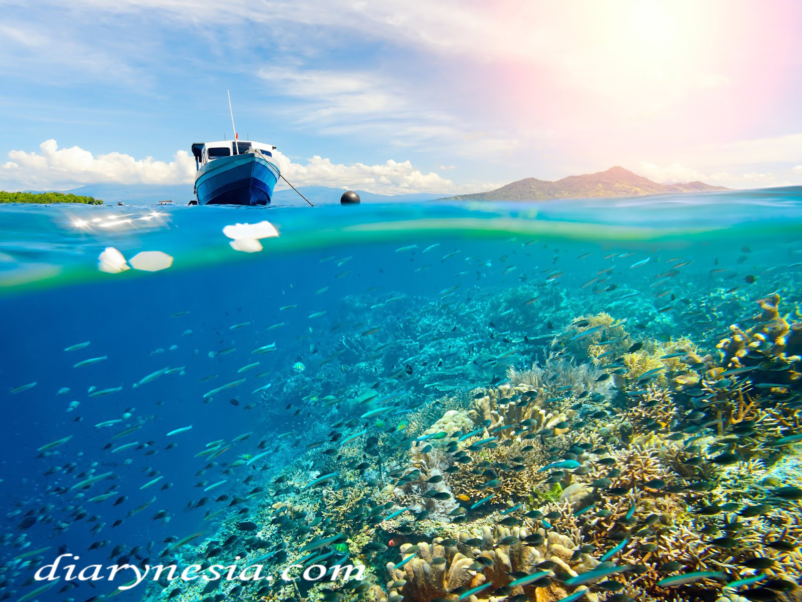 Best Tourist Attractions in The Charms of Bunaken Festival