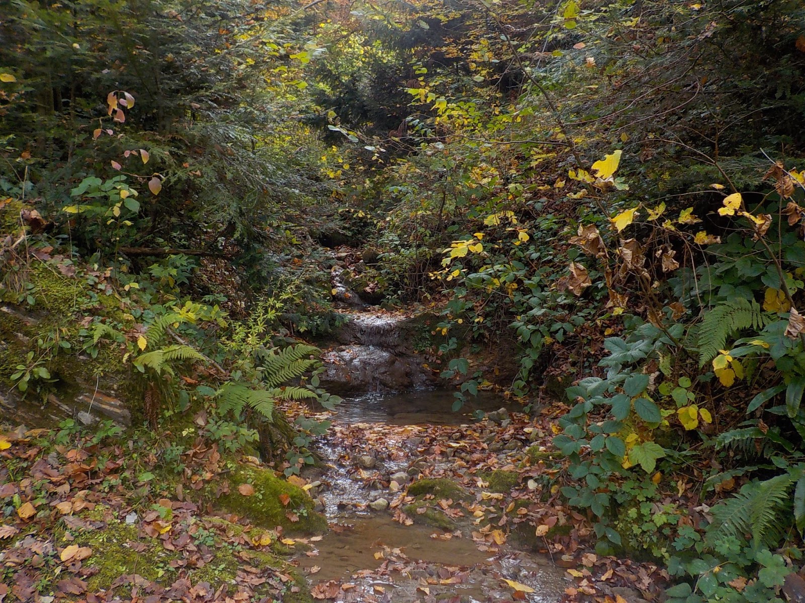 Medvednica.info: Slani potok