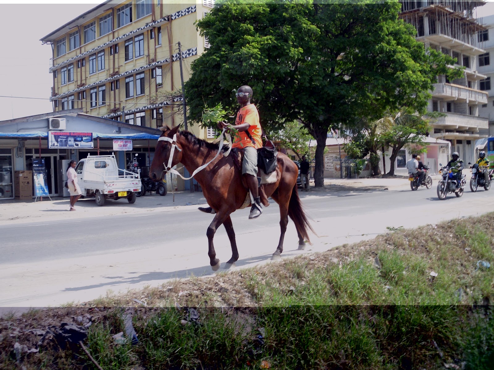 MAJIRA - GAZETI HURU LA KILA SIKU:: FARASI