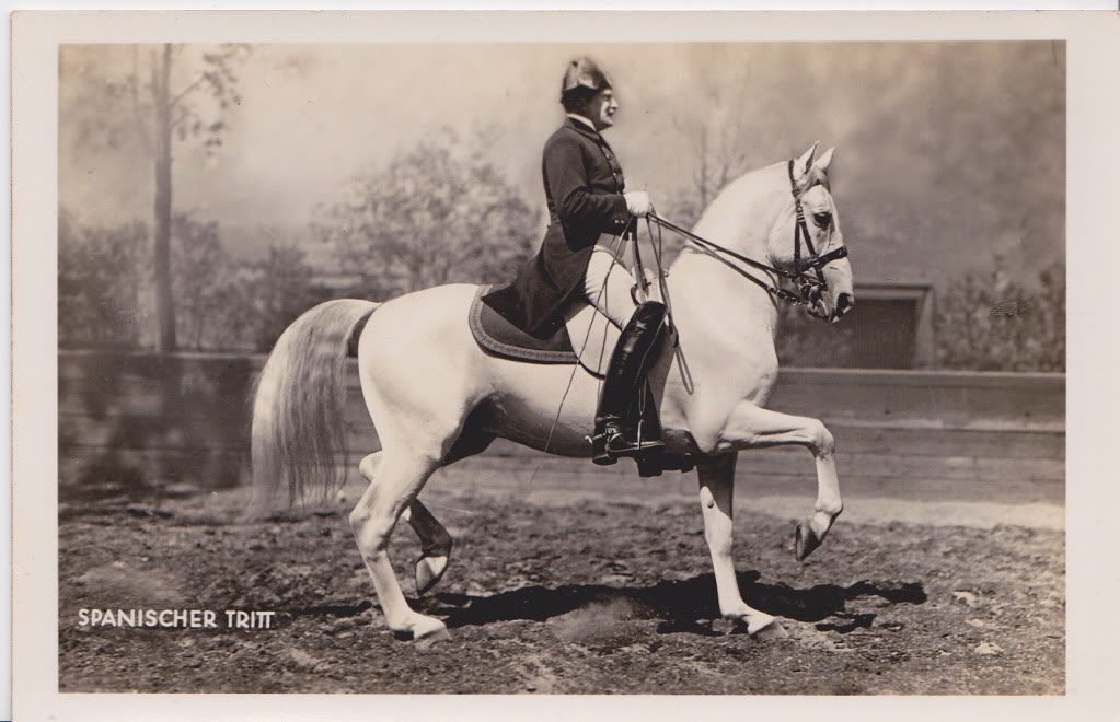 The Circus "NO SPIN ZONE": 08/25/11