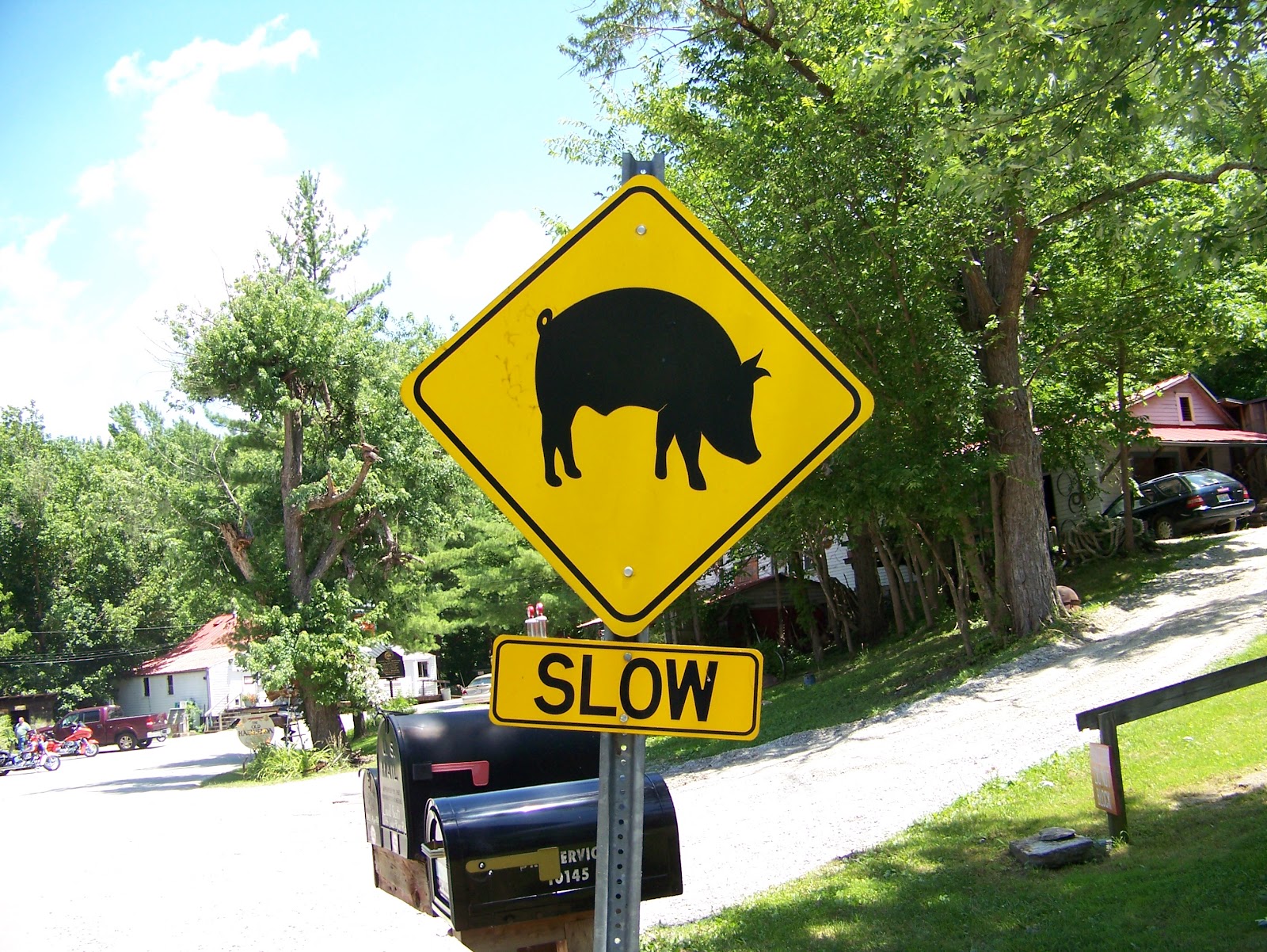 Get Out, Get Dirty, Go Home: Big Bone Lick State Park and Campground