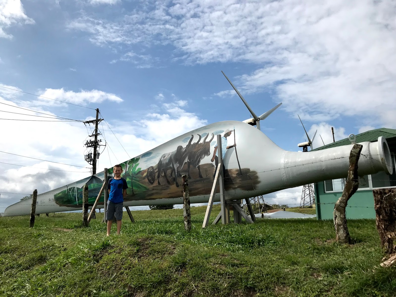 Finlay Family Fun: 2017