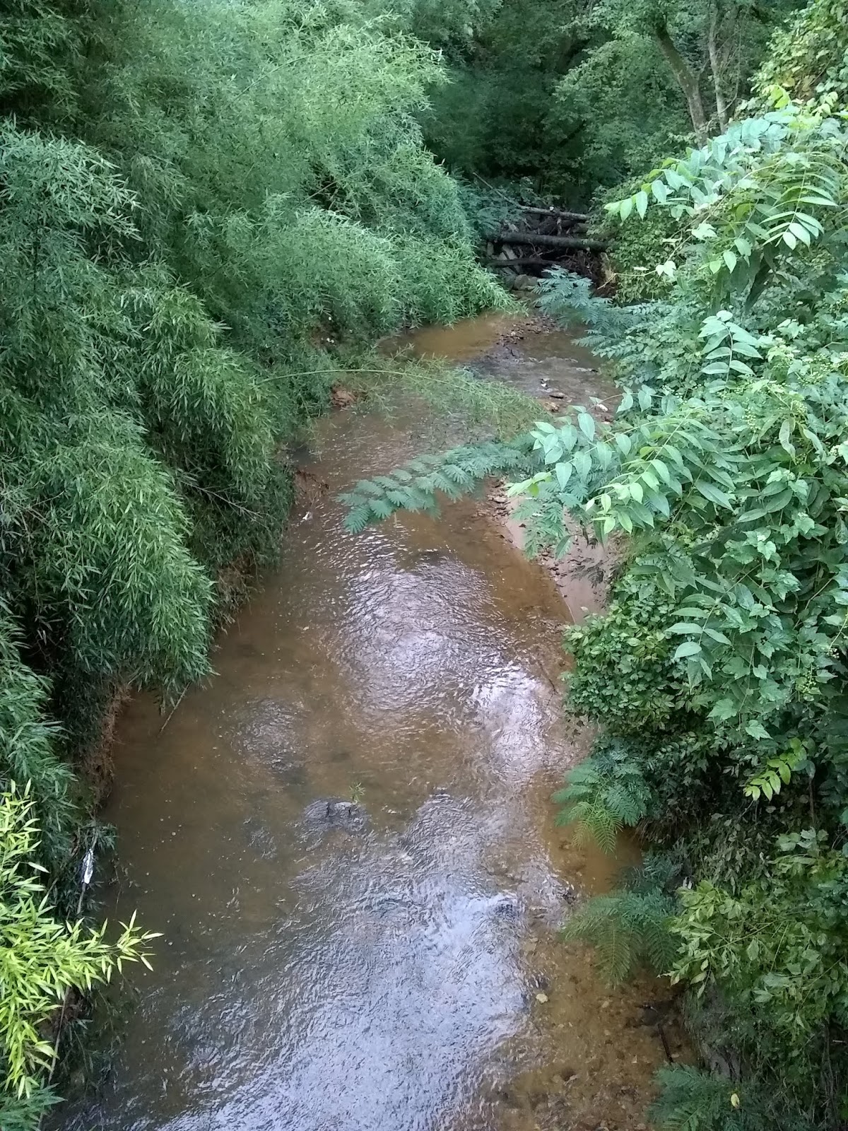 Jason's Jaunts: High Point Greenway