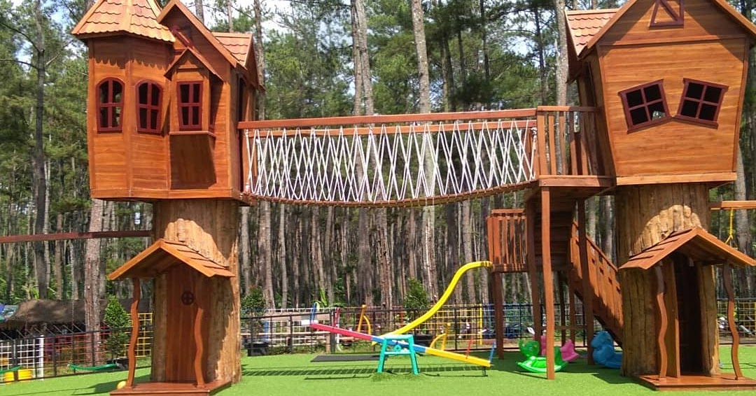 Kemit forest wisata yang sedang hits di Cilacap - Tugas Minggu