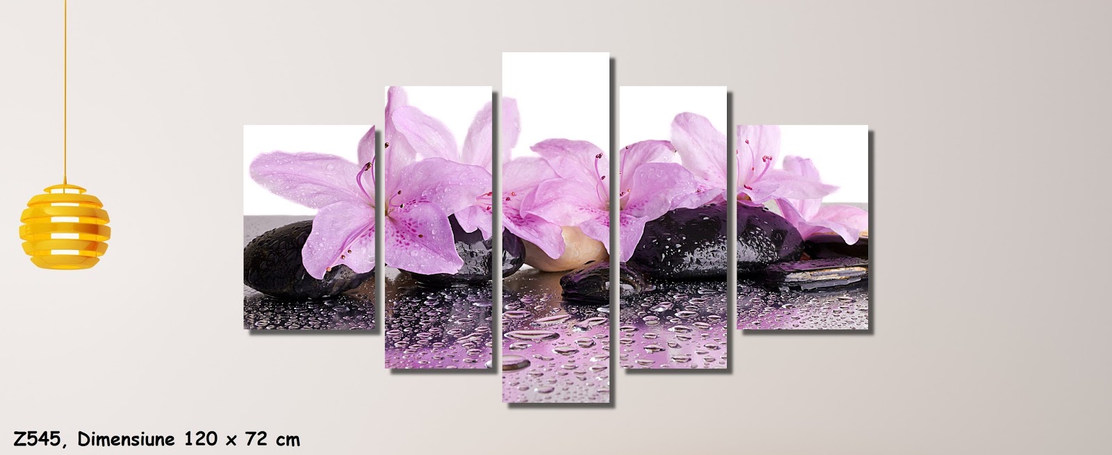 Tablouri Canvas, Tablouri Moderne, Tablouri Decorative, Tablouri ...