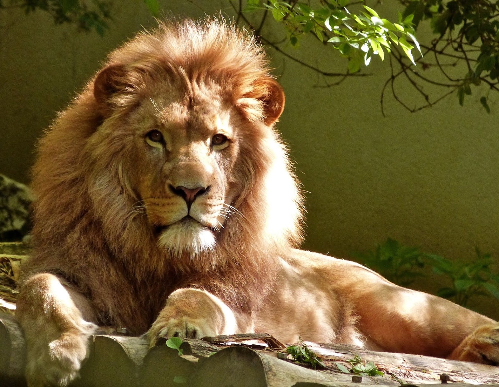 5 Things You Might See On Safari That You Won t See Anywhere Else 5-things-you-might-see-on-safari-that-you-won-t-see-anywhere-else