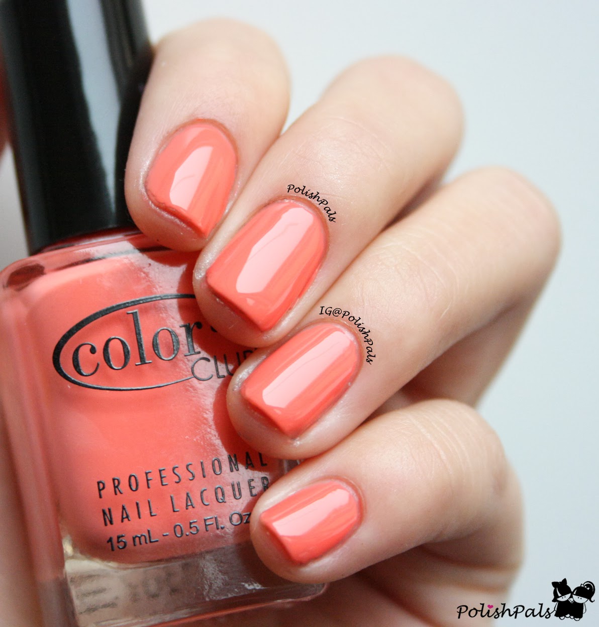 Polish Pals: In Theory by Color Club