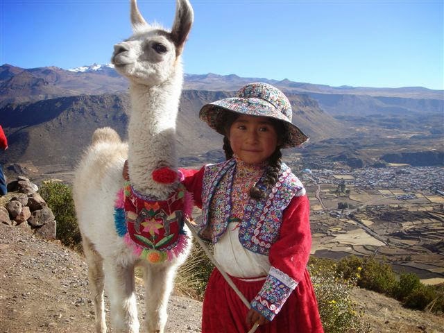 Peru? Alpaca Bag!!: Here's a llama, there's a llama..or is that an alpaca?