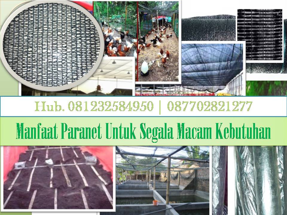 Cara Peroleh Paranet Murah Untuk Segala Usaha Anda - Jual Paranet ...