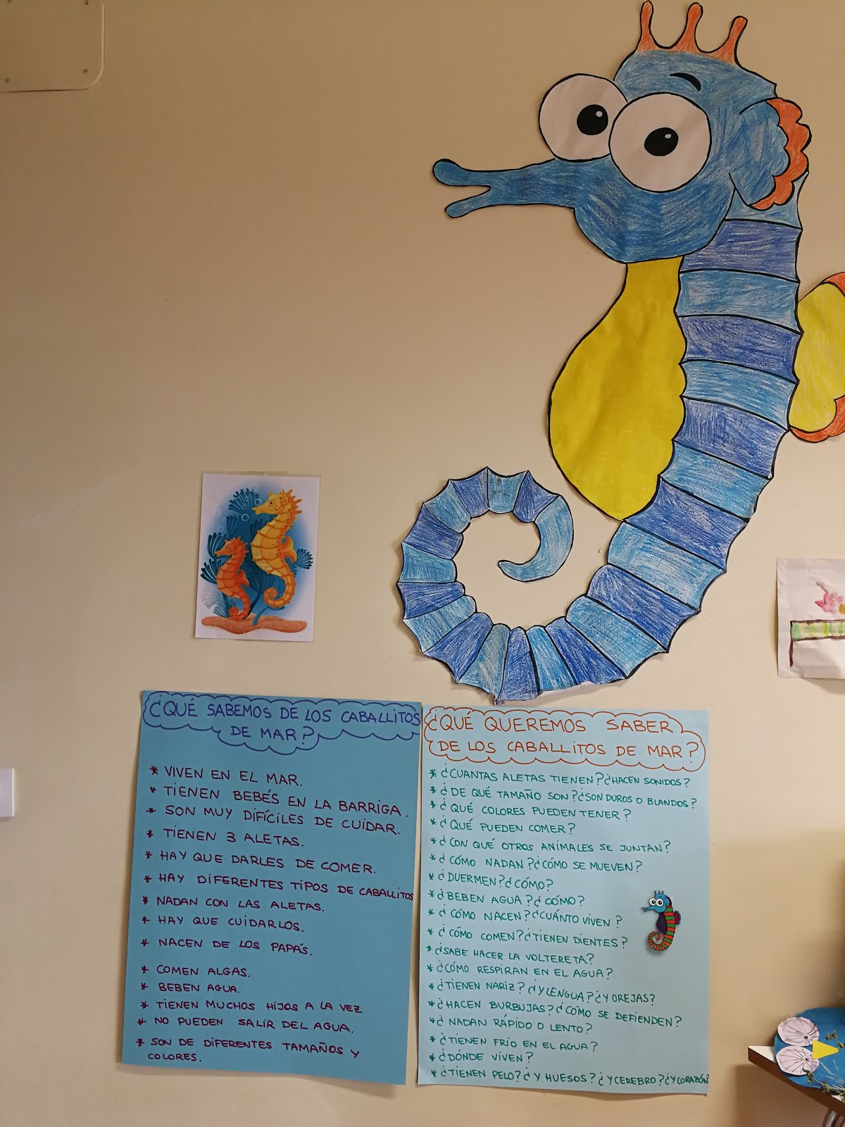 DOLPHINS, SEAHORSES AND TURTLES: PROYECTO:LOS CABALLITOS DE MAR-SEAHORSES