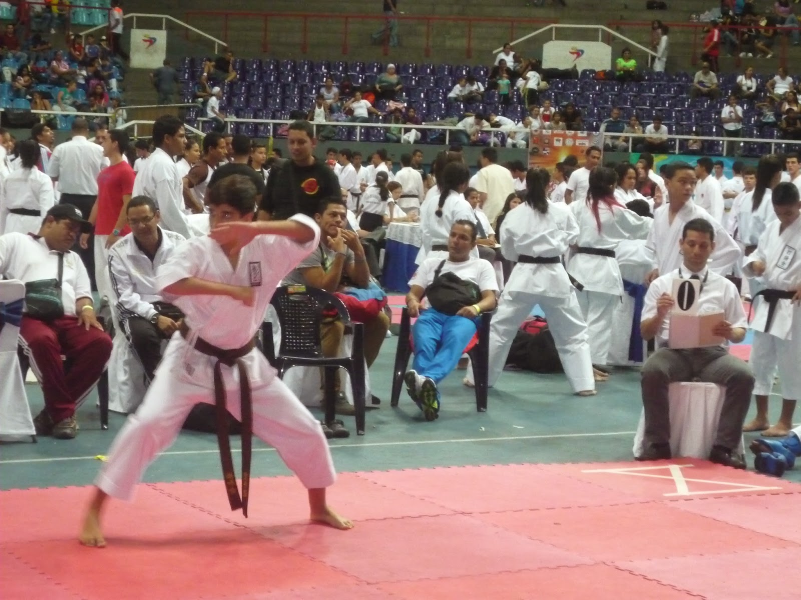 SHOWAKAI KARATE-DO DE VENEZUELA KARATE NO MICHI WORLD FEDERATION ...