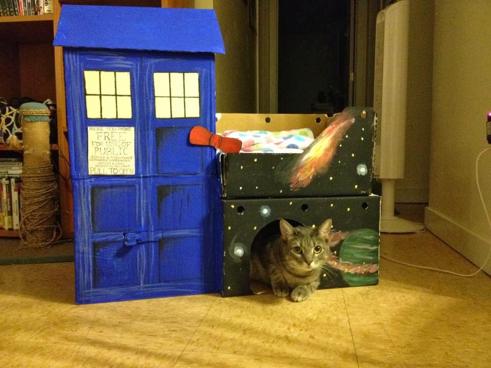 Choco Toujours: Tardis and Bowtie Cats