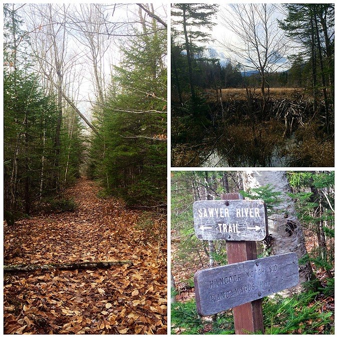 Hiking in the White Mountains: Deep in the Pine: A Trek to Hancock ...