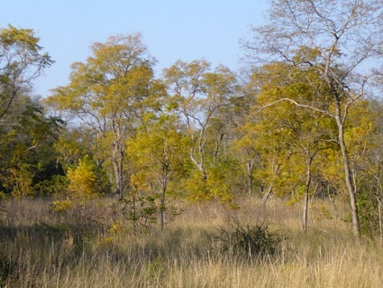 Geografía de América Latina: Caracterización de un territorio: El Chaco ...
