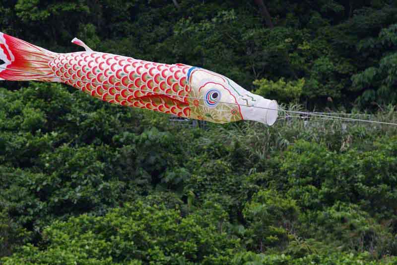 Ryukyu Life: 5 Carp Streamer Images at the Kickoff of Golden Week