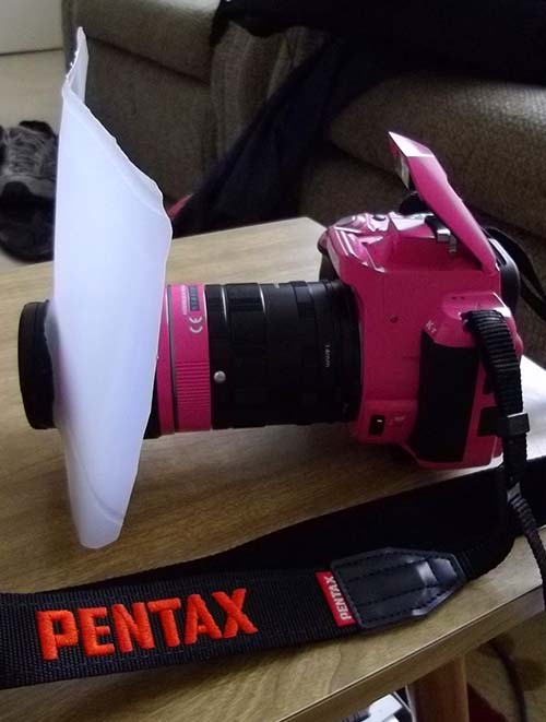 Dexter Mejia: DIY diffuser for macro photography