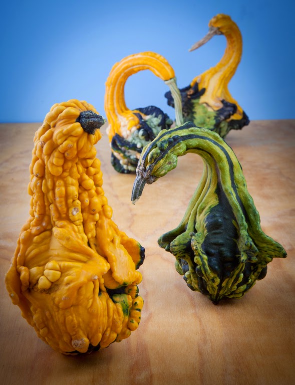 Jenny Adventures: Decorative Gourds - Angel Wings