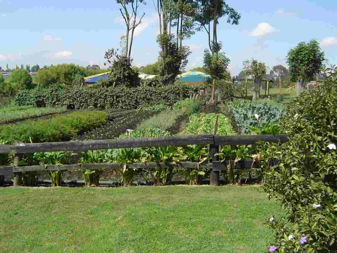 proyectos agropecuarios autosostenible