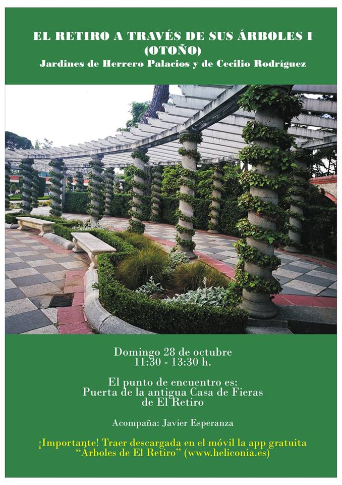 Bloggeles: Conociendo los árboles de El Retiro