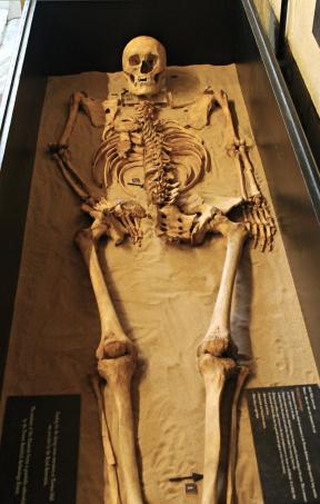 The Heroic Age: Skeleton from medieval battlefield goes on display at ...