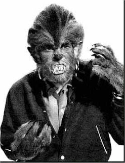 TOP 15 WEREWOLF FACTS AND FALLACIES!!