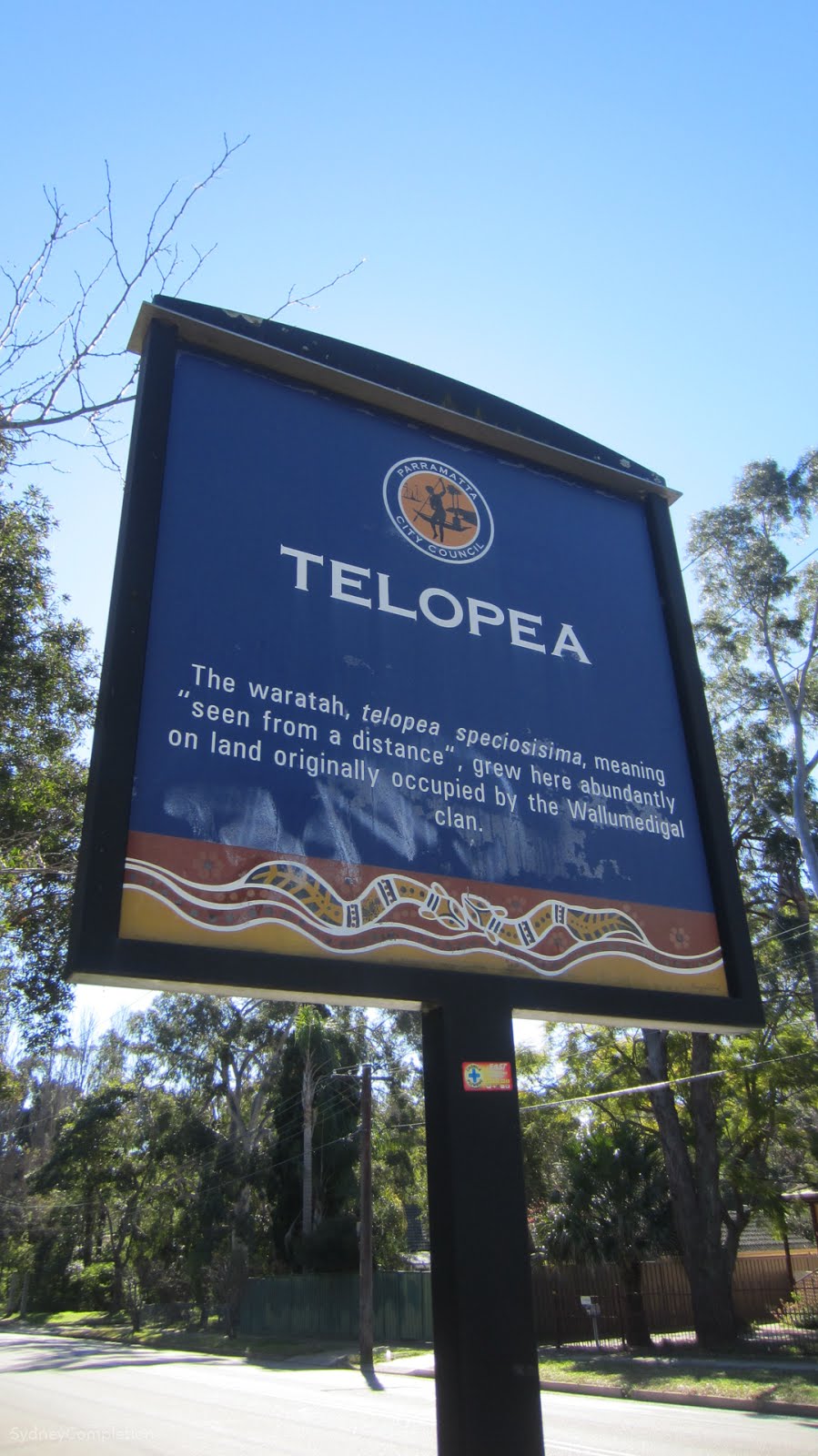 Anniversary Special Stop 6: Telopea - Completing Sydney