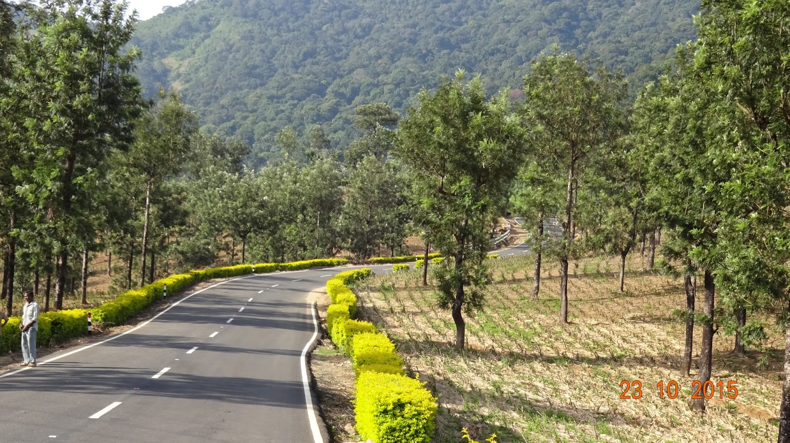 Thiruthal: Our visit to Valparai and Theni