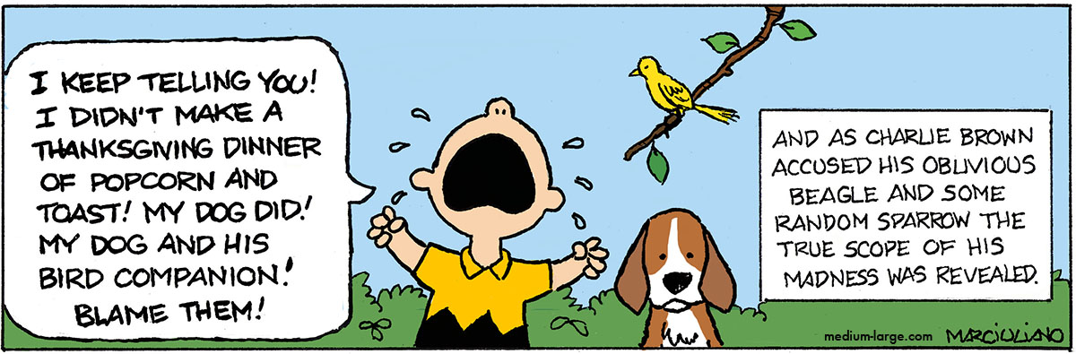 Kleefeld on Comics: On Strips: Post-Thanksgiving