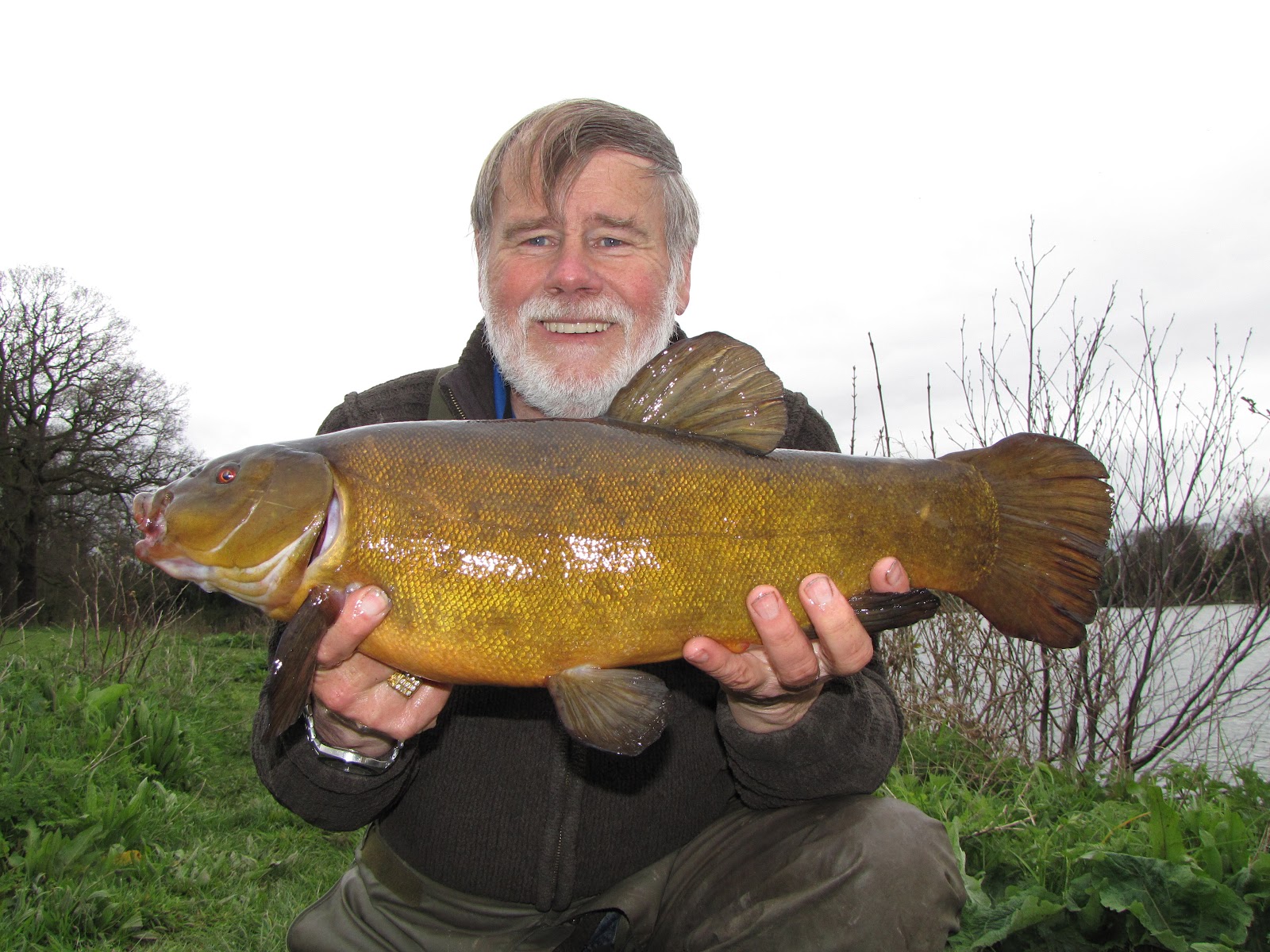 Travelling Man: Tench and ducks in almost equal measure.