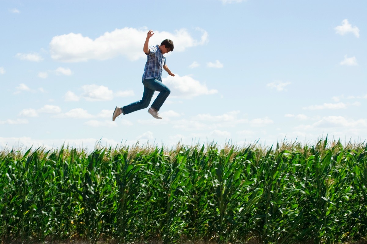 Twilight Language: Cinematic Corn: Oz, Twister, Signs, Interstellar ...