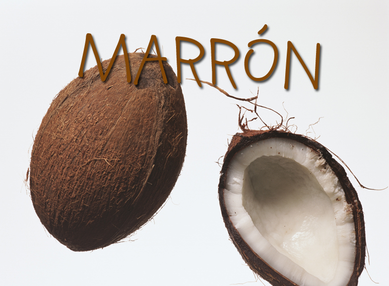 RECURSOS y ACTIVIDADES para Educación Infantil: COLOR MARRON