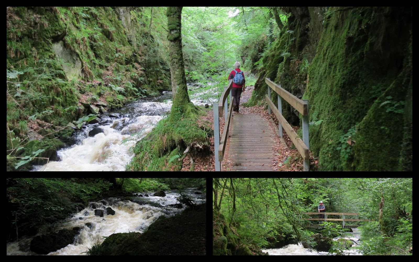 The Glebe Blog: Wigtownshire Ramblers - Hills of Glenmount ...