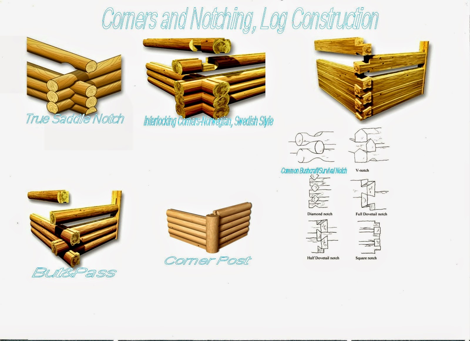 SURVIVAL AND BUSHCRAFT TECHNIQUES, "DOWN NOT OUT".: December 2012